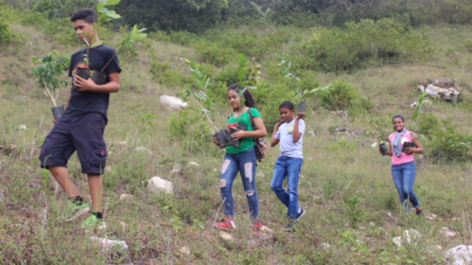 Reforestacin De La Cuenca Del Ro Yaque Sociedad Ecolgica Del Cibao
